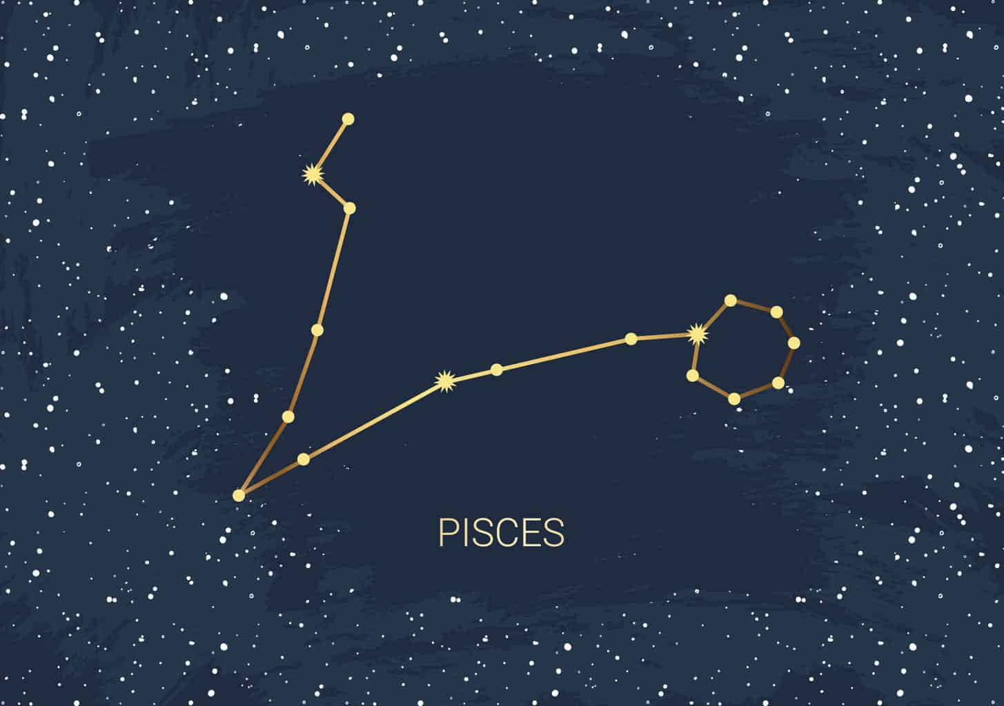 What Are the Spirit Animals of Pisces? | LeadByStars
