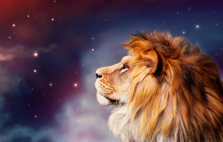 Leo Color Guide: Colors of the Leo Zodiac Sign | LeadByStars