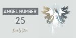 3636 Angel Number Meaning - A Comprehensive Guide | LeadByStars